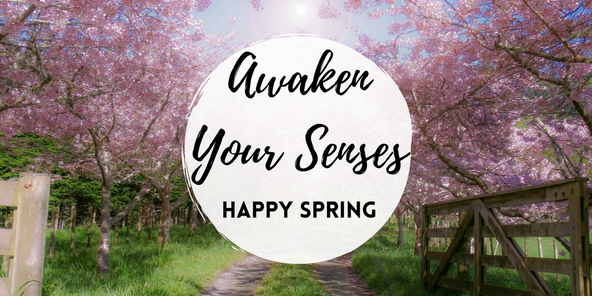 Awaken your Senses - Happy Spring — FigmentsTeaShop